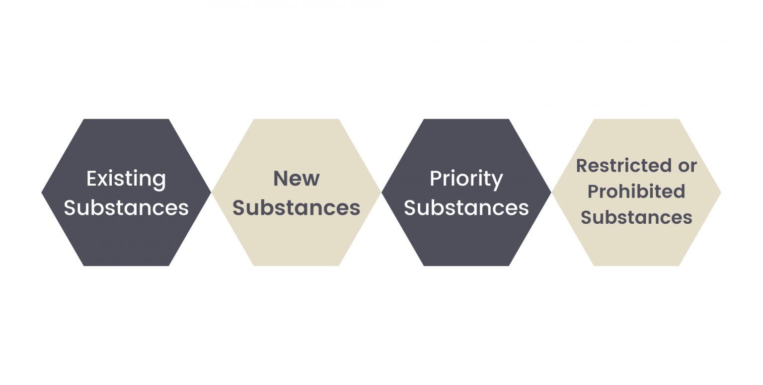 India REACH | CMSR Categories of Substances